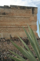 Book Of Mormon Tours & Cruises